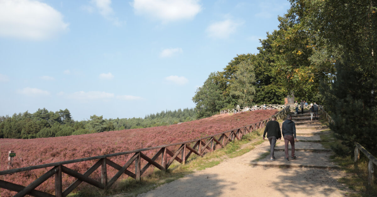 Krieghuusbelten | Camping Lemelerveld